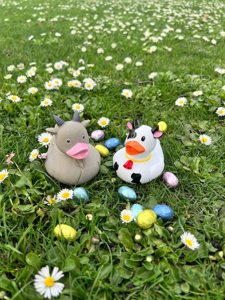 Collections – Duck World