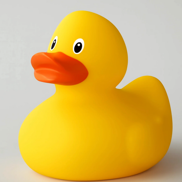 Collections – Duck World