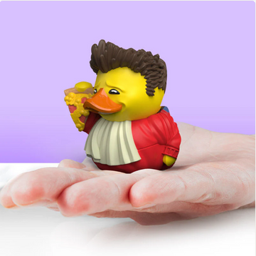 Mini Ducks – Duck World